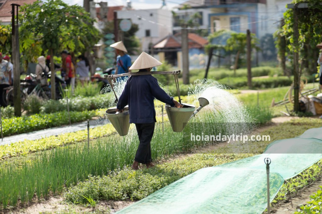 Tra Que Vegetable Village - Best Things to Do in Hoi An, Vietnam