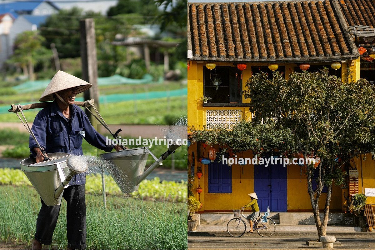 Tra Que Vegetable Village & Hoi An Tour from Da Nang - HoiAn Day Trip ...