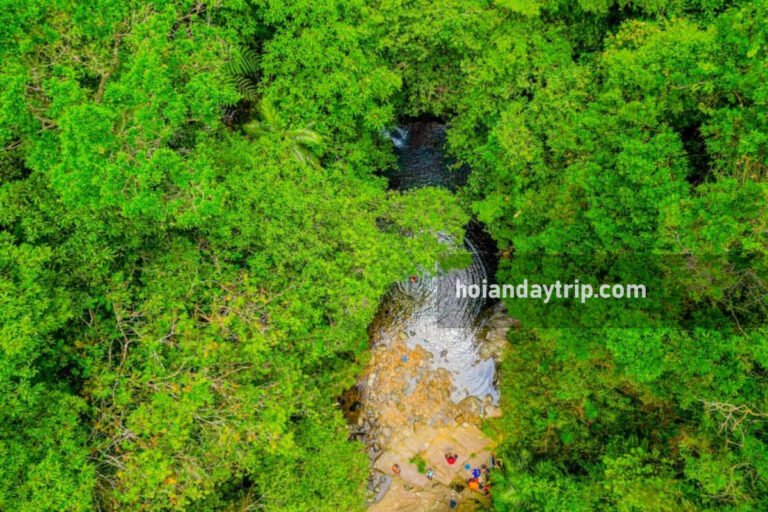 Bach Ma National Park Travel Guide - Things to Do in Hue Vietnam