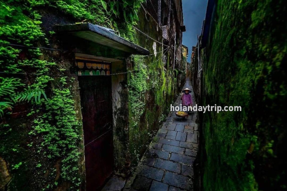 Hoi An Alley Tour with Highlights & Hidden Gems - HoiAn Day Trip Company