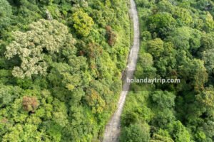 Son Tra Peninsula Itinerary - How to Visit Monkey Mountain Da Nang
