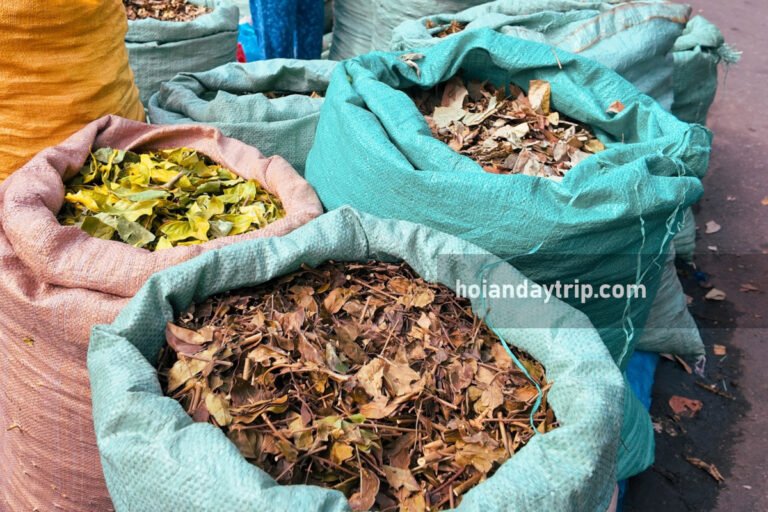 Dragon Boat Festival (Tet Doan Ngo) - Thing to Do in Hoi An in June